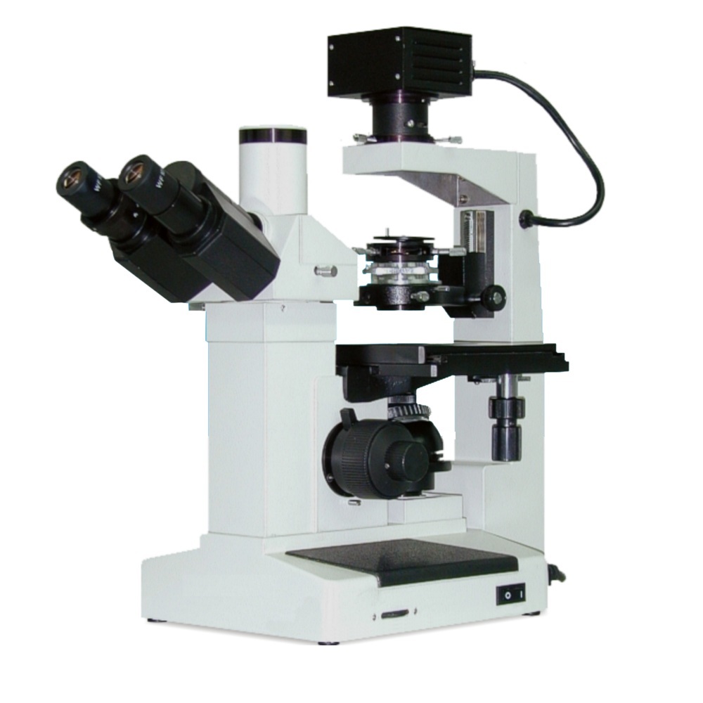 Microscopio biológico invertido modelo SI-PH serie 450, marca Iroscope ...